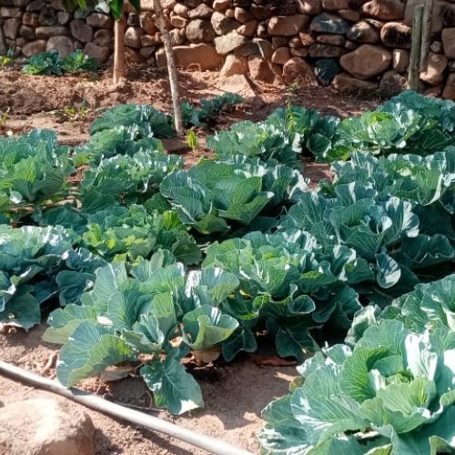 Halloween 2025, Linden JHB, Johannesburg, 31 October to 2 November ...