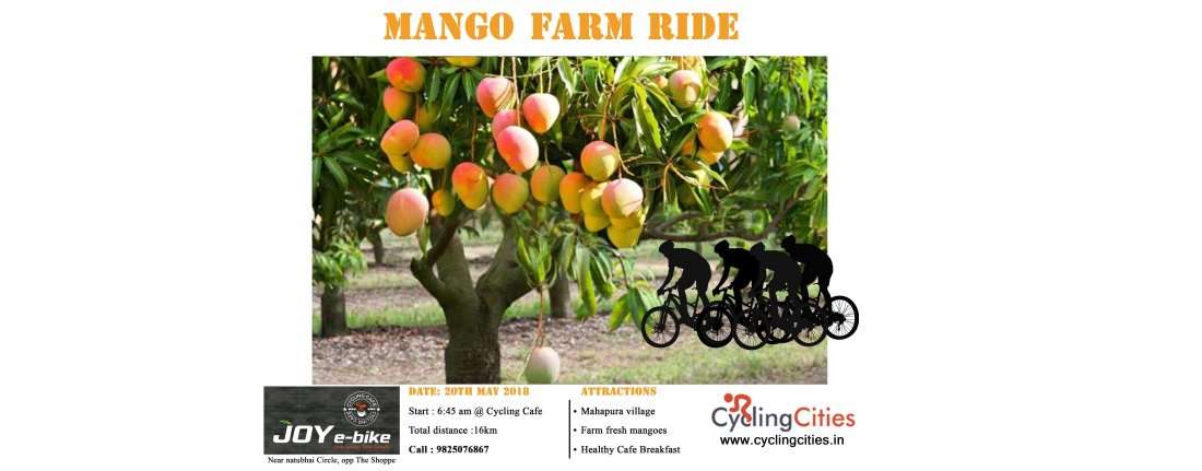 Mango Farm Ride, Joy E-bike Cycling Cafe, Vadodara, 20 May 2018 | AllEvents