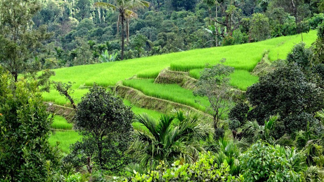 Didupe, Ermai Falls - An Village Outing, Bengaluru, Bangalore, 8 ...