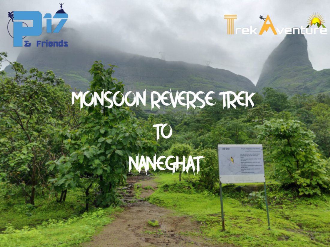 Reverse Waterfall Trek to Naneghat, Naneghat, Junnar, 11 July 2021 ...