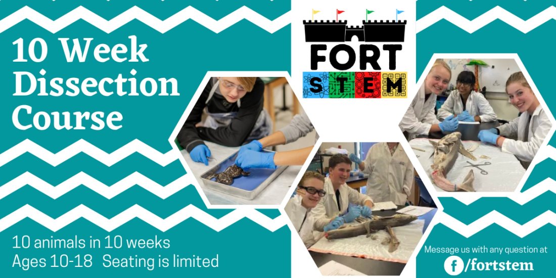 STEM: Dissection Labs, Fort STEM, Martinez, 15 February 2023 | AllEvents