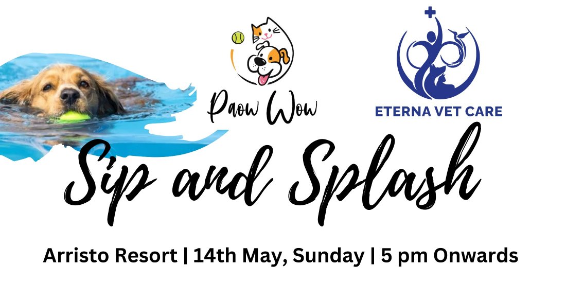 SIP & SPLASH, ARRISTO RESORTS AND CLUB, Ahmedabad, 14 May 2023 | AllEvents