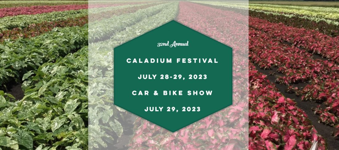 32th Annual Caladium Festival 2023, Stuart Ave, Lake Placid, FL 33852 ...