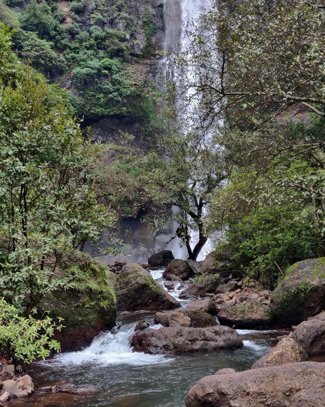 Family Kids special Kelavali waterfall trek Satara 26 Aug, Pune, 26 ...