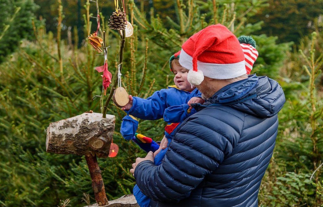 Longshaw Christmas Tree Festival, Longshaw Estate - National Trust ...