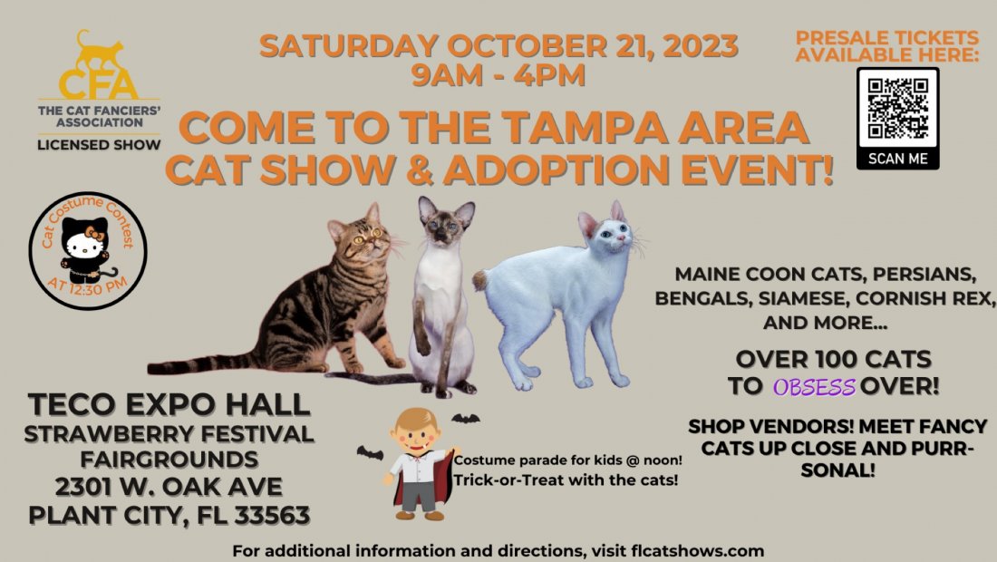 Come visit the Spook-tacular Tampa Area Cat Show & Adoption Event ...