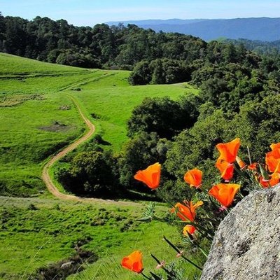 Russian Ridge Open Space Preserve Tickets, Russian Ridge Open Space ...