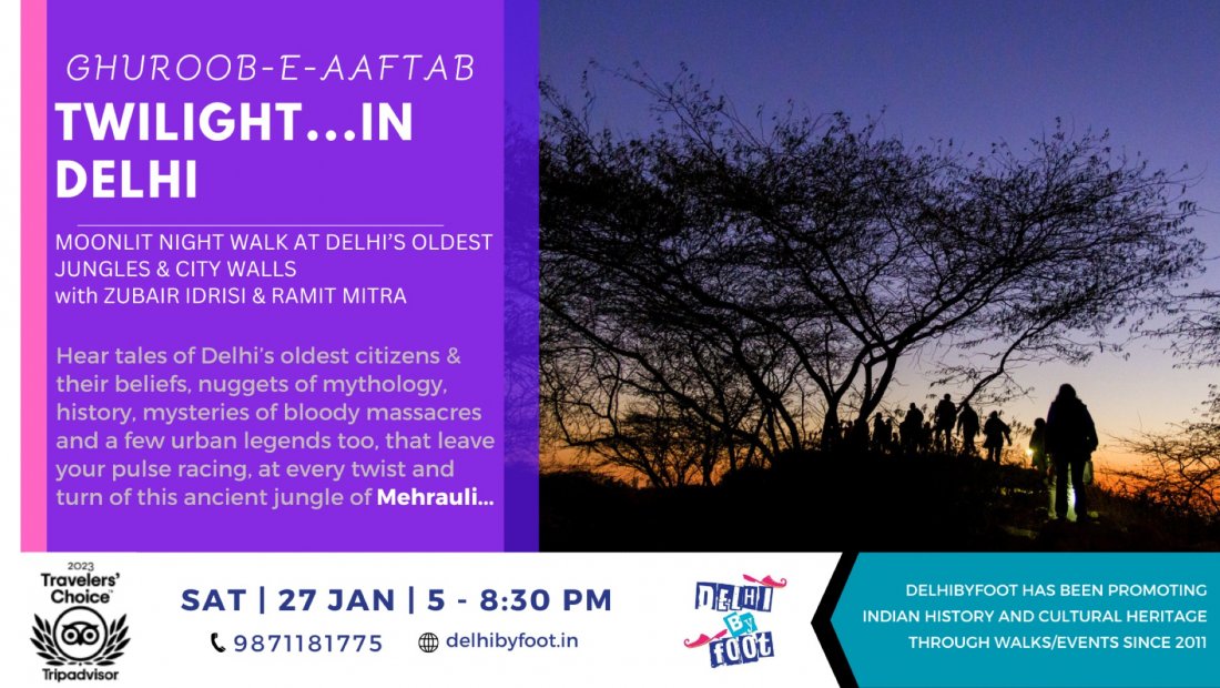 TWILIGHT IN DELHI - MOONLIT NIGHT WALK AT DELHI’S OLDEST JUNGLES & CITY ...