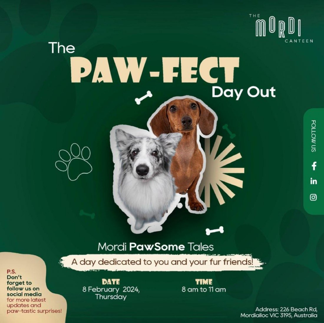 The Pawfect Day out, The Mordi Canteen, Melbourne, 8 February 2024 ...