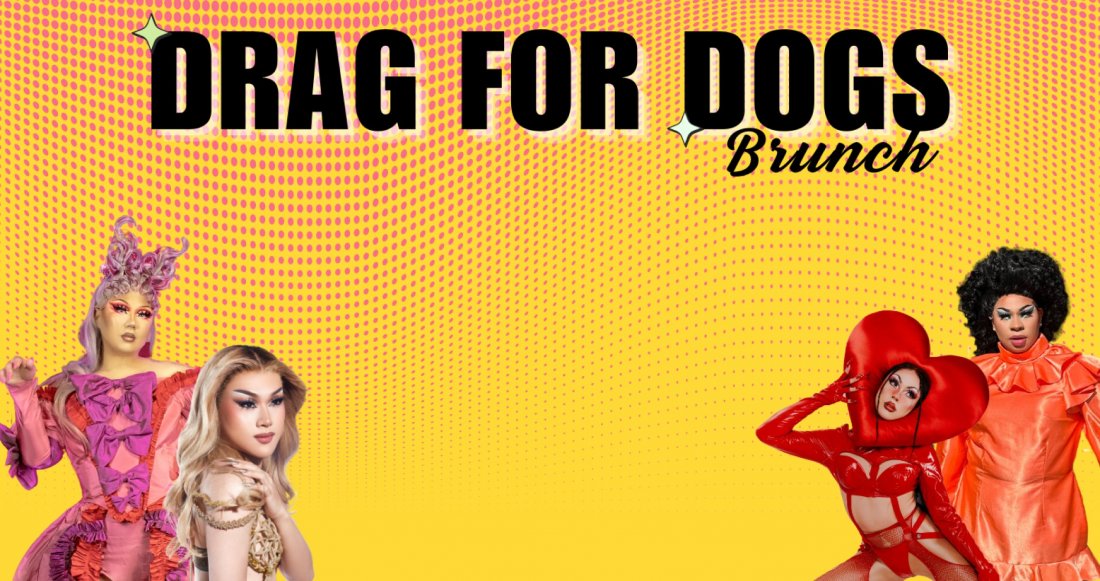 Korean K9 Rescues "Drag For Dogs" Brunch Fundraiser, Spicy Moon ...