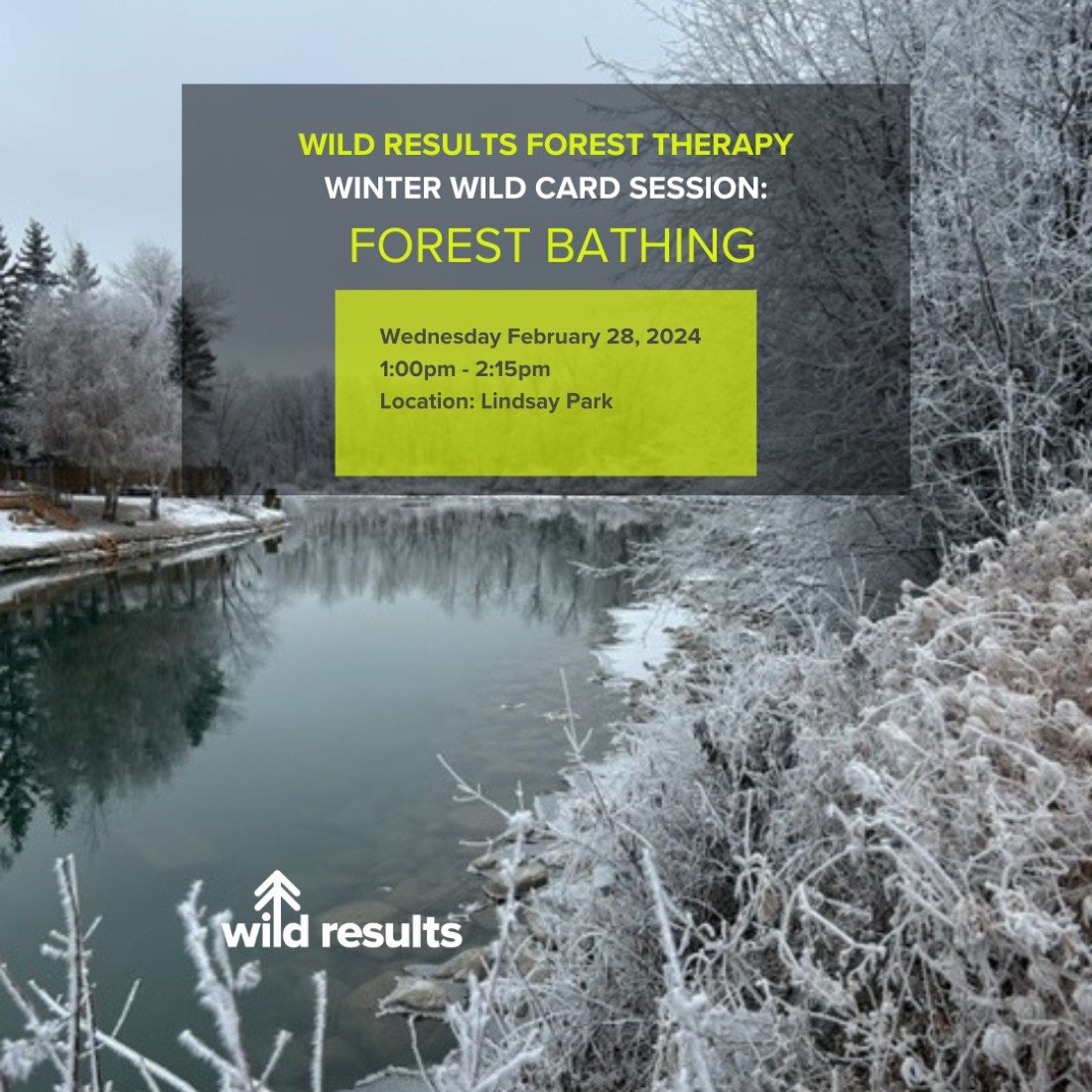 Nature Heals: Forest Bathing at Lindsay Park, Lindsay Park, Calgary, 28 ...