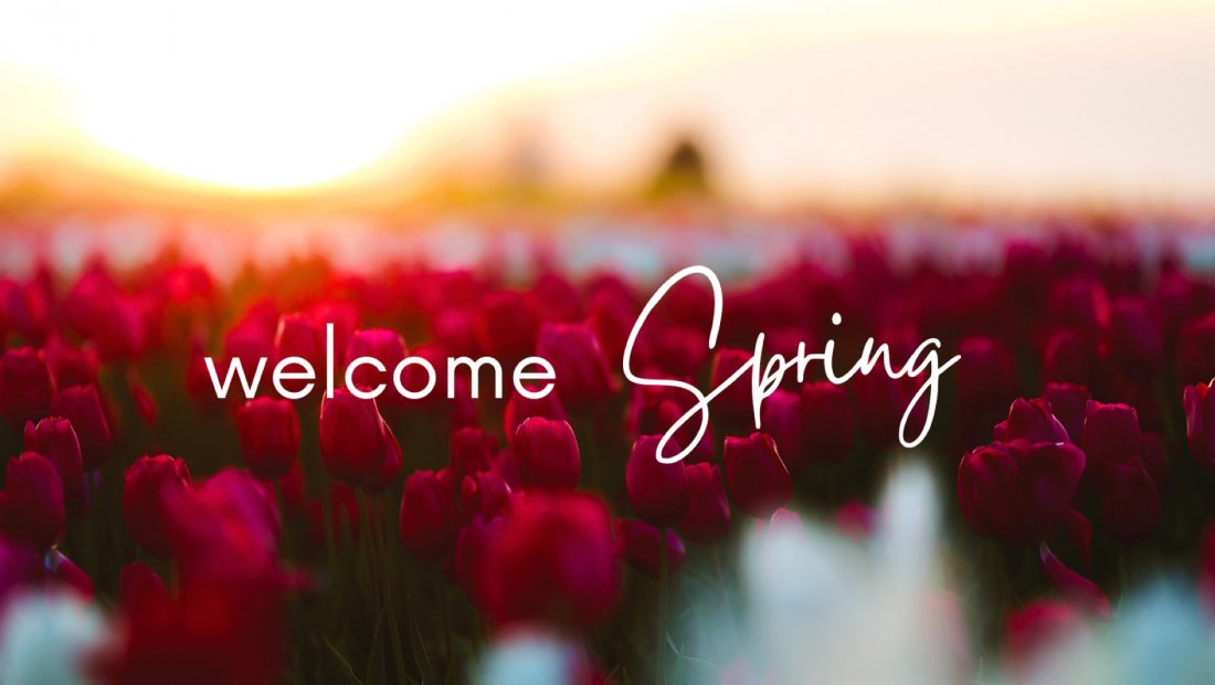 Spring Equinox Celebration: Embracing Renewal and Rebirth!, March 19 to ...