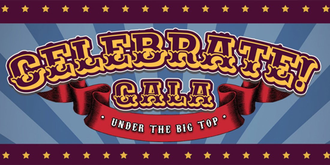 Celebrate! Gala Under the Big Top, ImaginOn: The Joe & Joan Martin ...