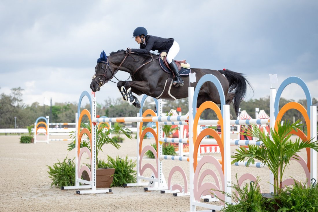 $65,000 Show Jumping Grand Prix Sarasota Horse Show, TerraNova ...