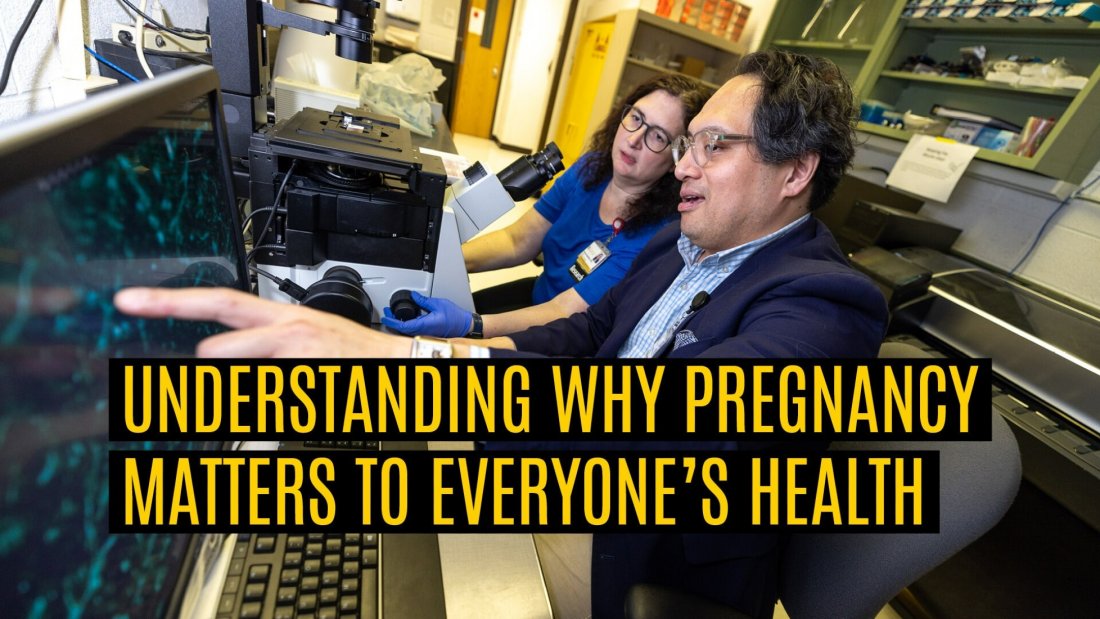 Mini Medical School - The Ripple Effect: Understanding Why Pregnancy ...