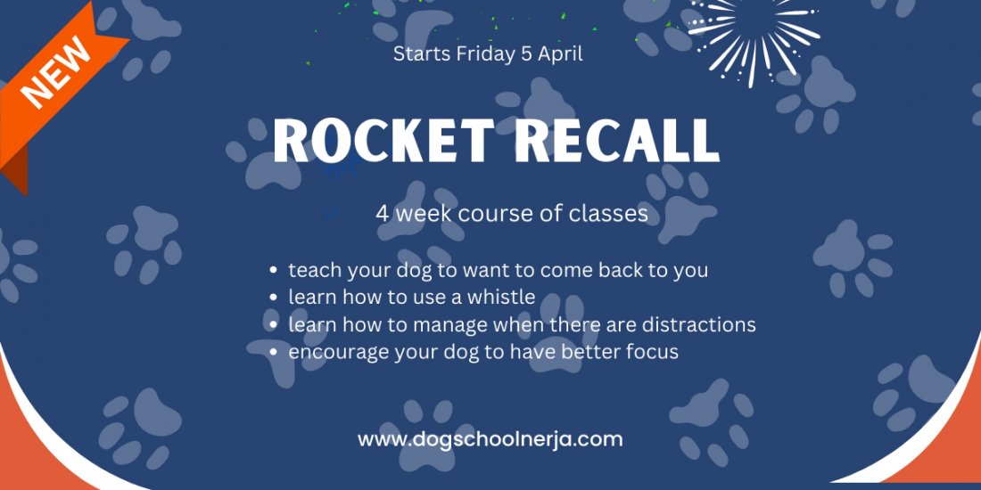 Rocket Recall Masterclass, Dog School Nerja | AllEvents