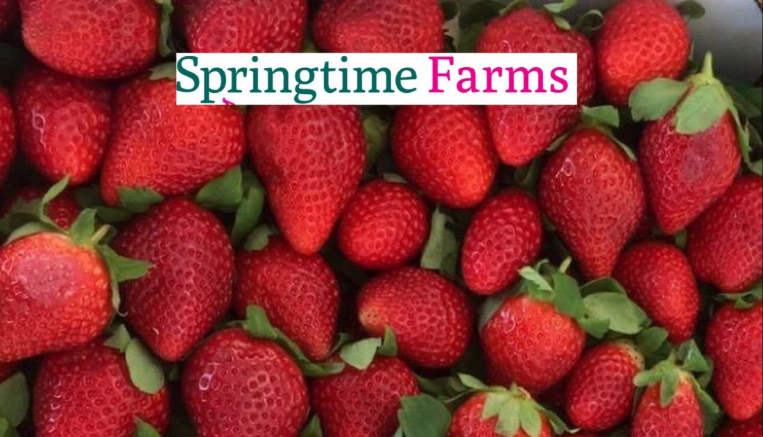 Strawberry Festival at CB Smith Pembroke Pines, CB Smith Park ...