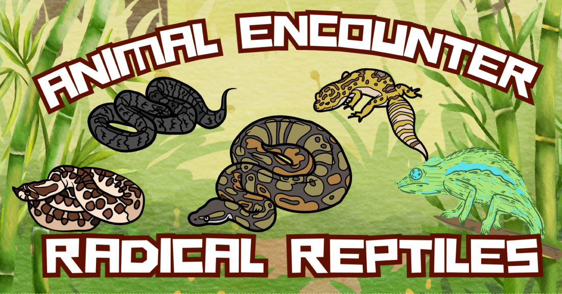 Animal Encounter - Radical Reptiles, The painted lady studio, Augusta ...
