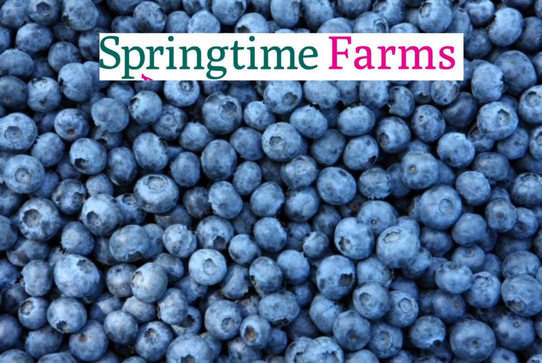 2024 Blueberry Festival at Springtime Farms in North Fort Myers ...