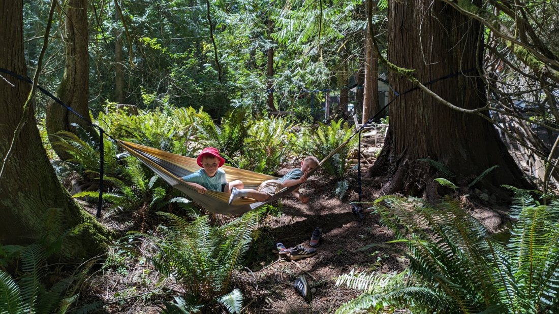 Survival Camp - Outdoor Program for kids 5-10, Suncatcher Forest School ...