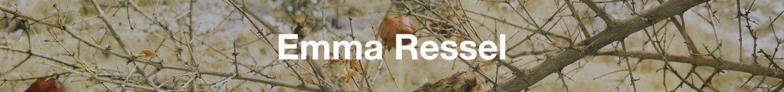 Glass Eyes Stare Back by Emma Ressel Tickets, Strata Gallery, Santa Fe ...