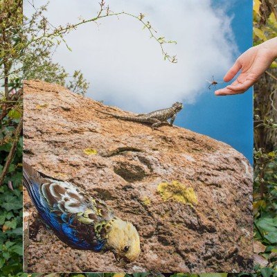 Glass Eyes Stare Back by Emma Ressel Tickets, Strata Gallery, Santa Fe ...