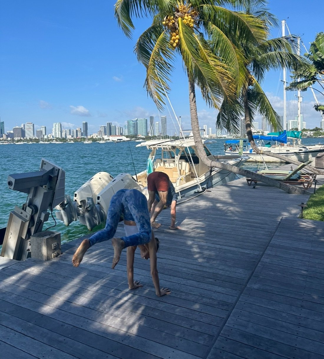 Primal Moves & Cold Plunge, Venetian islands , Miami Beach, 20 April ...