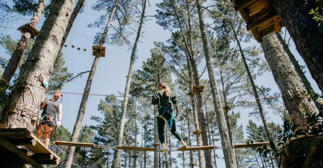 Adrenalin Forest (High Wire Course), Adrenalin Forest Wellington ...