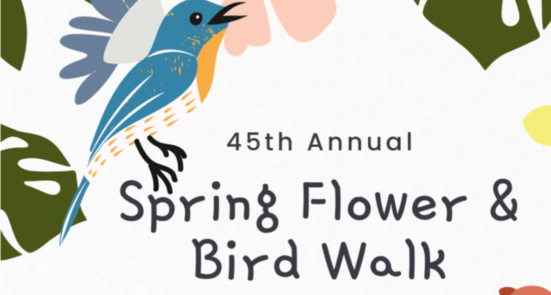 45th Annual Spring Fling - bird & flower walk Tickets, State game lands ...