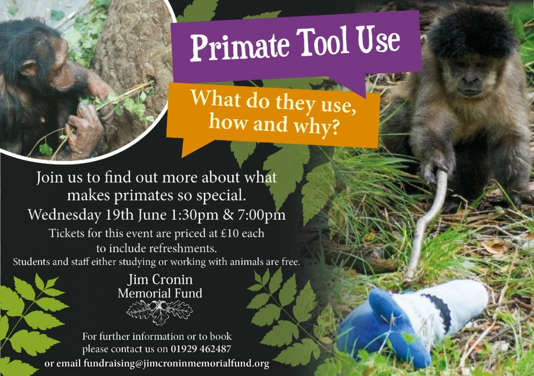 Primate Tool Use - What do they use, how and why?, Hethfelton House ...