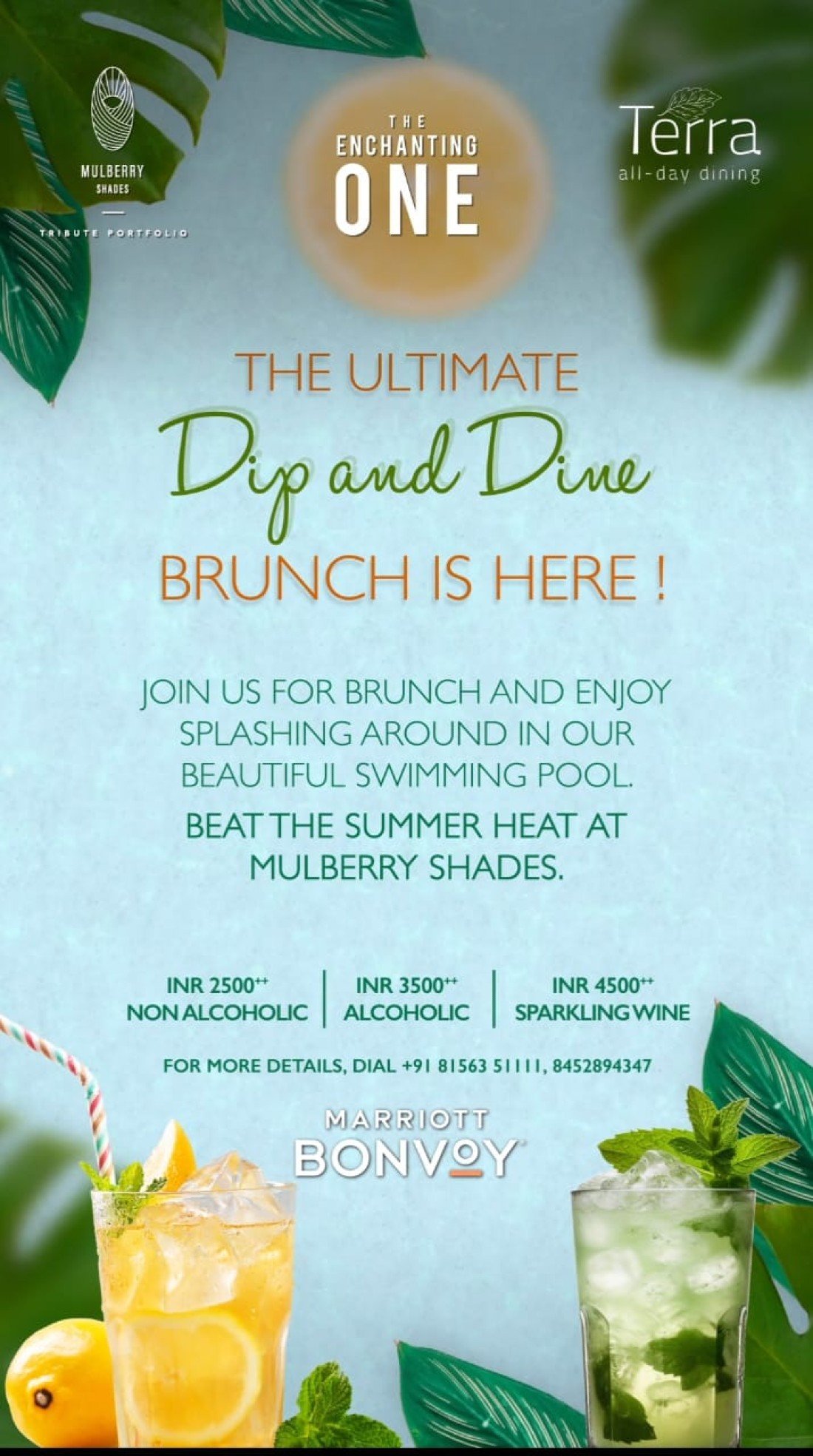 The Ultimate Dip and Dine , Mulberry Shades Bengaluru Nandi Hills, A ...