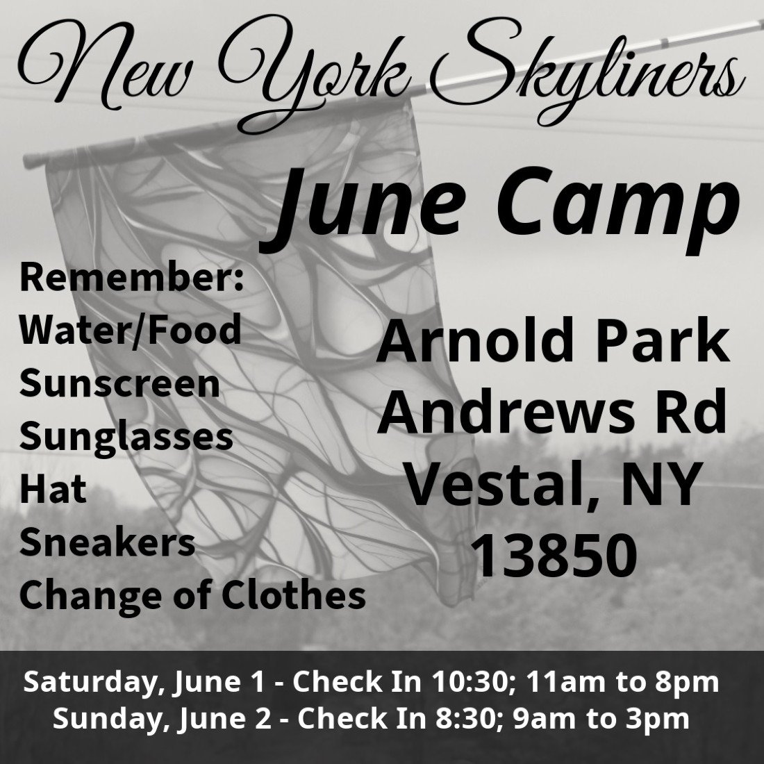 Up Next, June With the New York Skyliners!, Arnold Park, Vestal, 1 June ...