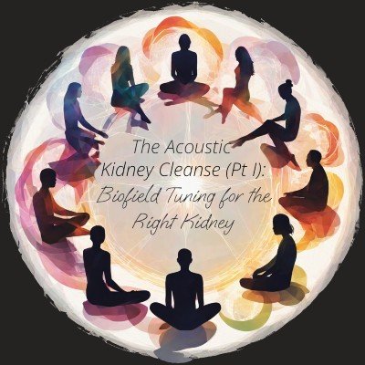 The Acoustic Kidney Cleanse (Part I): Biofield Tuning for the Right ...