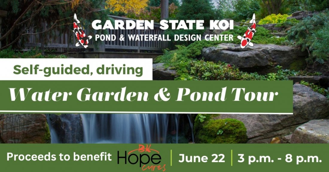 Water Garden & Pond Tour in Hawley, PA, Hawley, 22 June 2024 | AllEvents.in
