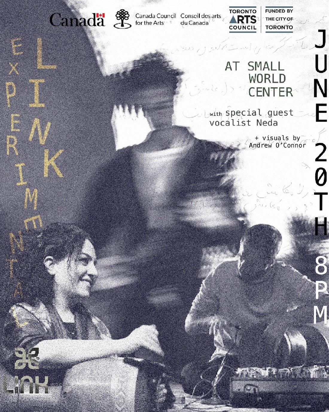 Experimental Link: Cinna Peyghamy, Mahmood Schricker and Naghmeh ...