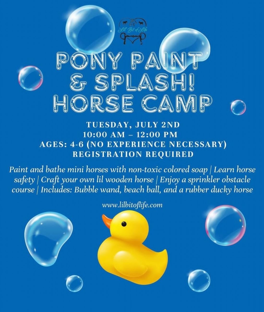 Pony Paint and Splash Horse Camp, Lil Bit of Life, Mount Dora, 2 July ...
