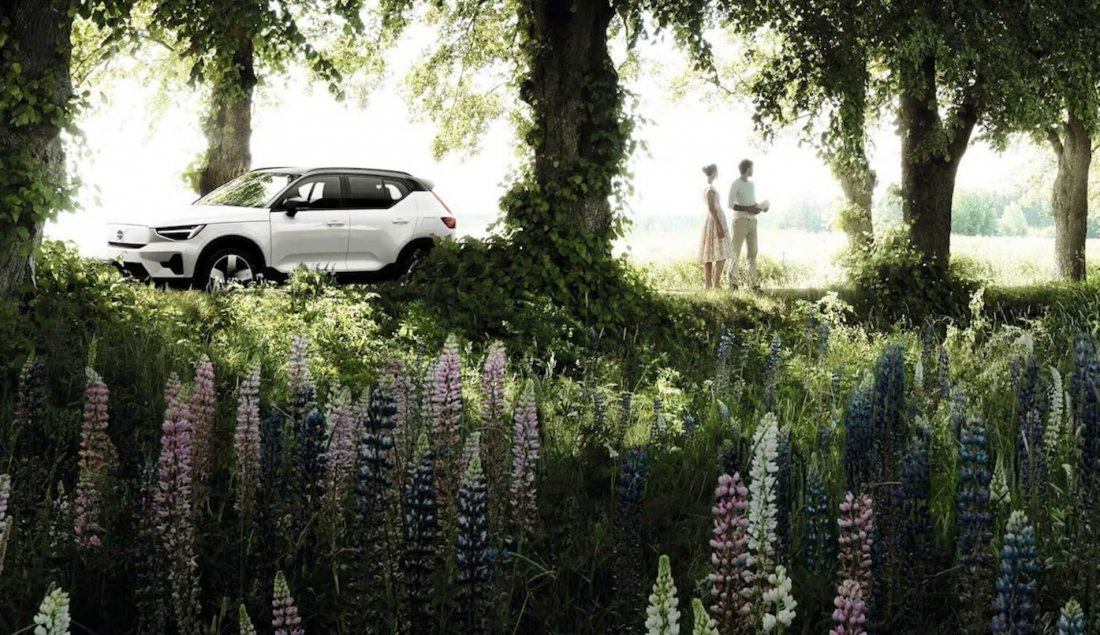 Volvo Midsummer: A celebration of community, local flora, and a greener ...