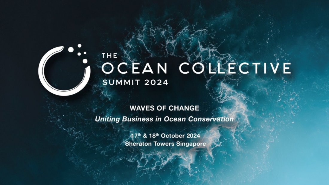 The Ocean Collective Summit 2024, Sheraton Towers Hotel , Singapore, 17 ...
