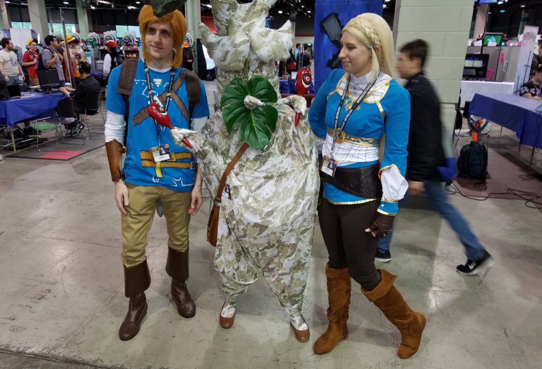 Pinball Expos and Video Game Summits Cosplay Contest, Renaissance ...