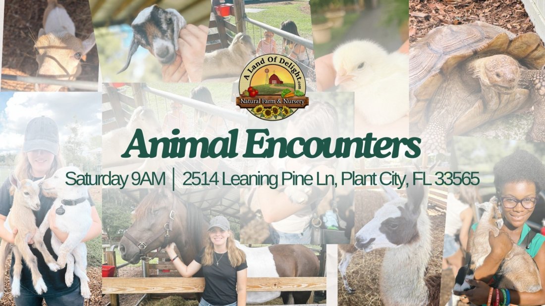 Animal Close Encounters | Available Tour Times: 9:15am, 12:15am, 4:15pm ...