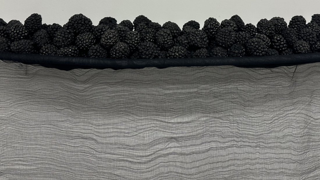 Beth Stuart: POSIWID, Susan Hobbs Gallery , Toronto, 18 October to 23 ...