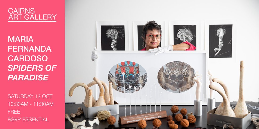 Artist Talk - Maria Fernanda Cardoso: Spiders of Paradise, Cairns Art ...