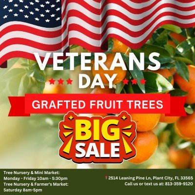 Veterans Day Sale: 1,000+ Fast-Growing Grafted Fruit Trees & 300 ...