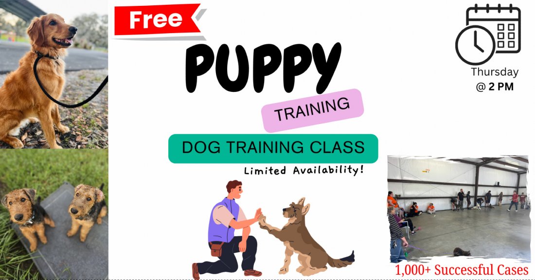 Puppy Training (FREE Dog Training Class) Tickets, Elite K9 Service ...