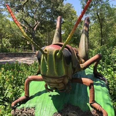Bugs LIVE! Animatronic Insects and Arachnids, Heard Natural Science ...