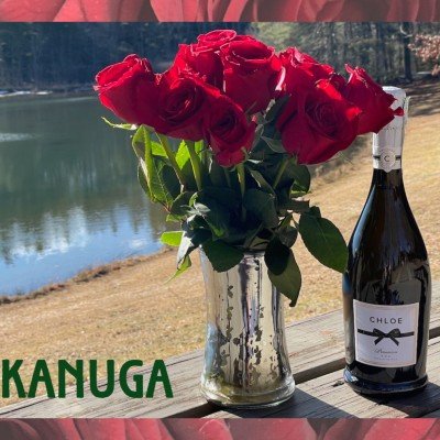 Valentines Day at Kanuga, Kanuga Inn & Lodging, Hendersonville, 14 ...