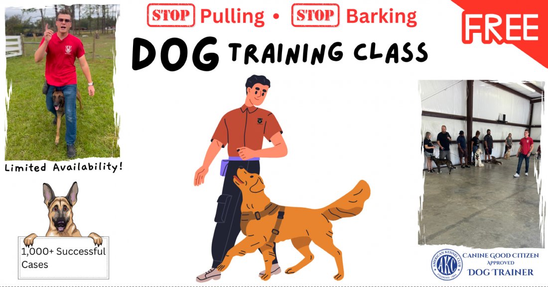 Dog Events In Brooksville | Dog Training Classes & Workshops In Brooksville