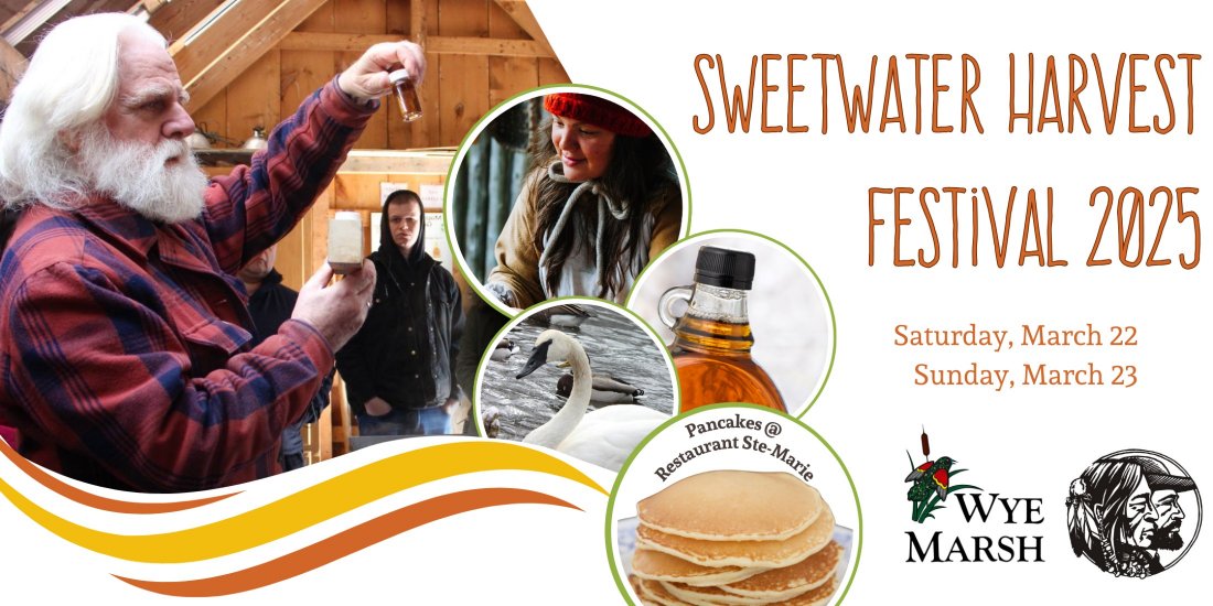 Wye Marsh Sweetwater 2025, Wye Marsh Wildlife Centre, Midland, 22 March ...