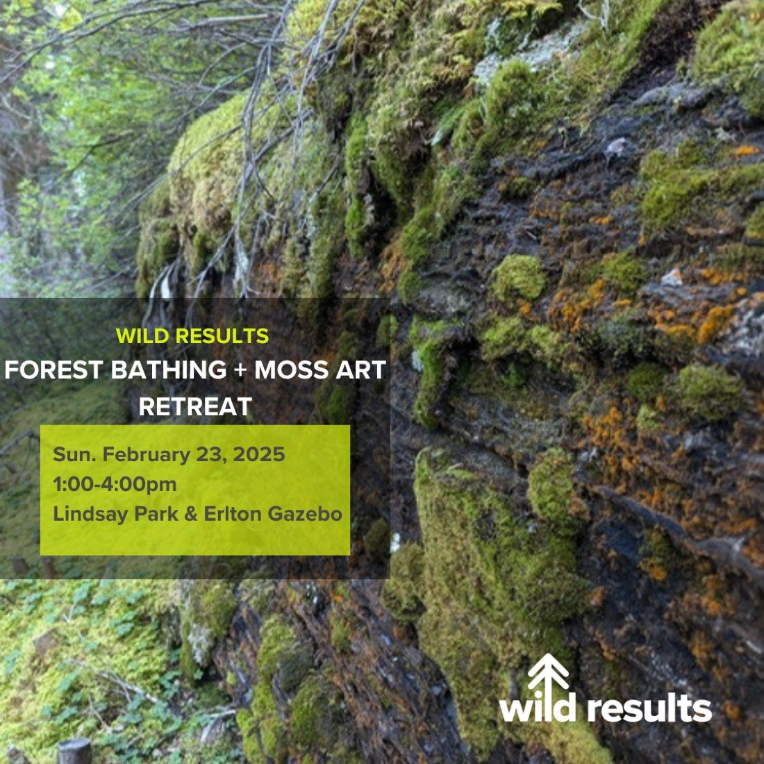 FOREST BATHING + MOSS ART RETREAT, Erlton Gazebo, Calgary, 23 February ...