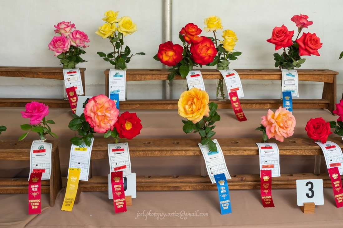 103rd Annual Coronado Flower Show, Spreckels Park, Coronado, 13 April ...